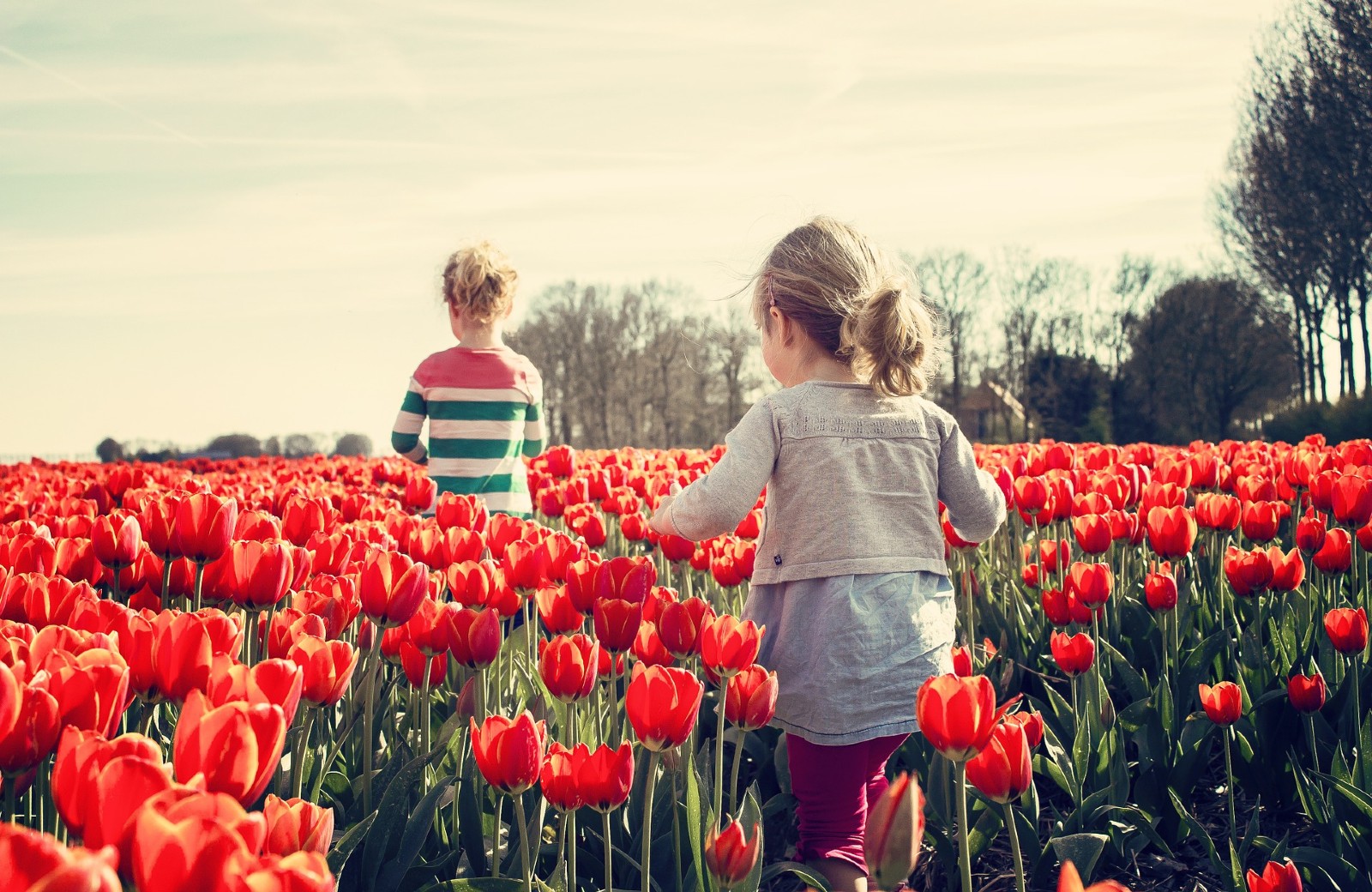 Living in 'Holland': my perspective - Source Kids